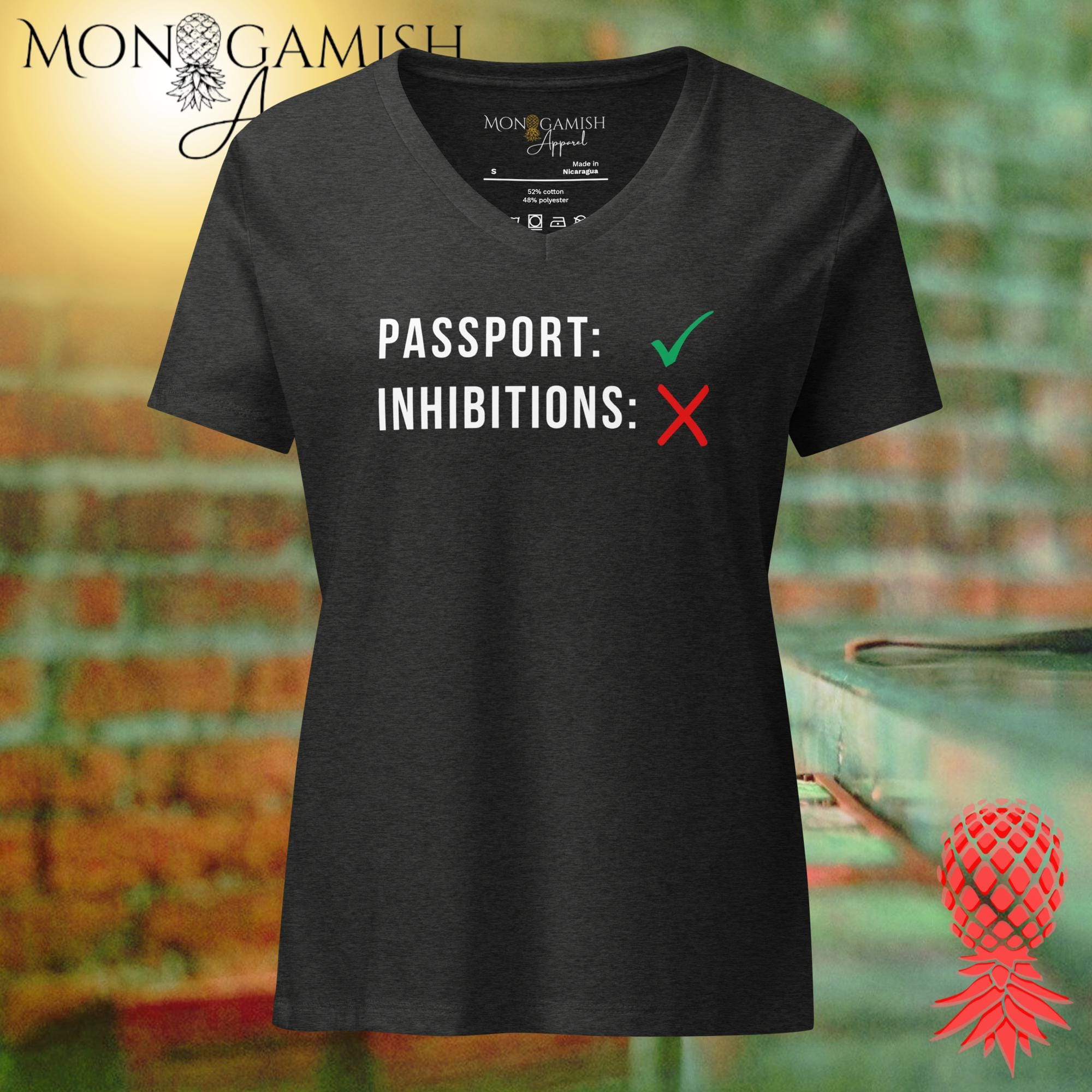 Passport and No Inhibitions Relaxed V-Neck – Monogamish Apparel